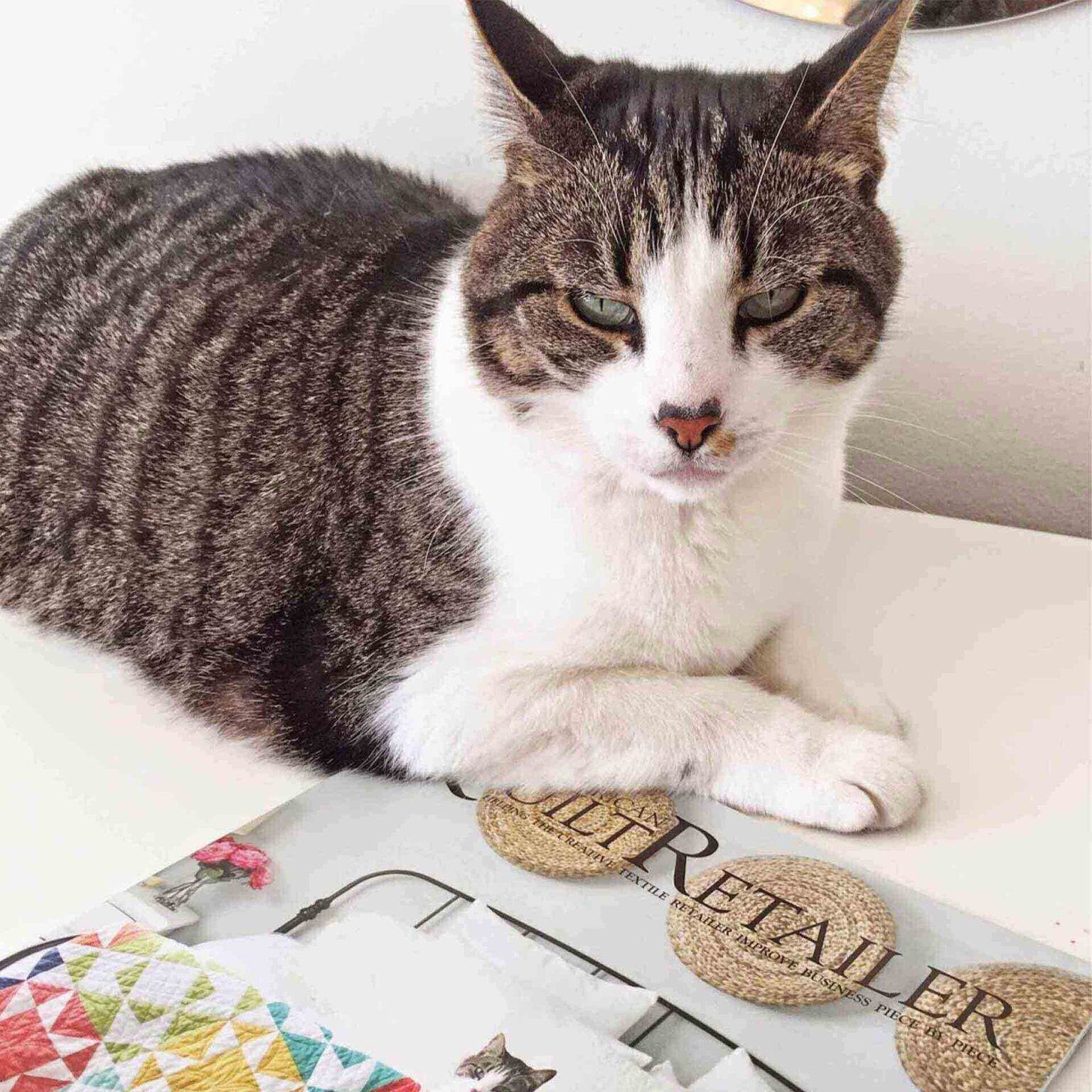 V and Co. by Vanessa Christenson