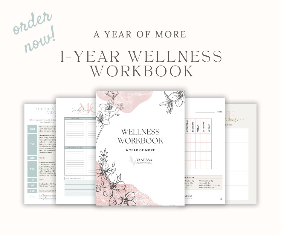 One Year Wellness and Workout Workbook - V and Co. by Vanessa Christenson